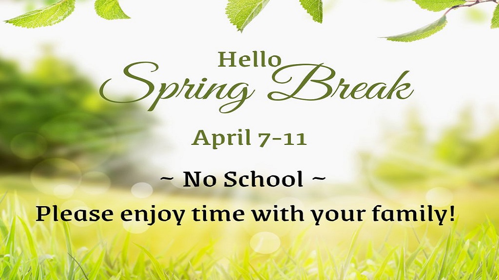 Home | Mount Vernon Schools